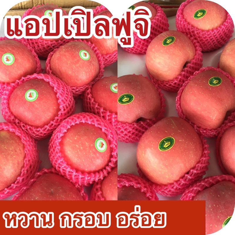 แอปเปิลฟูจิ/ฉินก๊วนเนื้อทราย/Fuji Apples/หวานกรอบอร่อย/ยกลัง/589บาท | Shopee Thailand