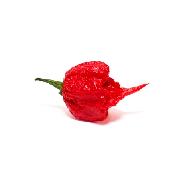 เมล็ดพริก Carolina reaper ( พริกที่เผ็ดที่สุดในโลก ) | Shopee Thailand