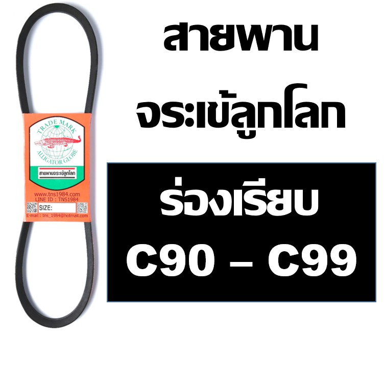 จระเข้ลูกโลก สายพาน ร่อง C ร่องเรียบ C90 C91 C92 C93 C94 C95 C96 C97 C98 C99 90 91 92 93 94 95 ...