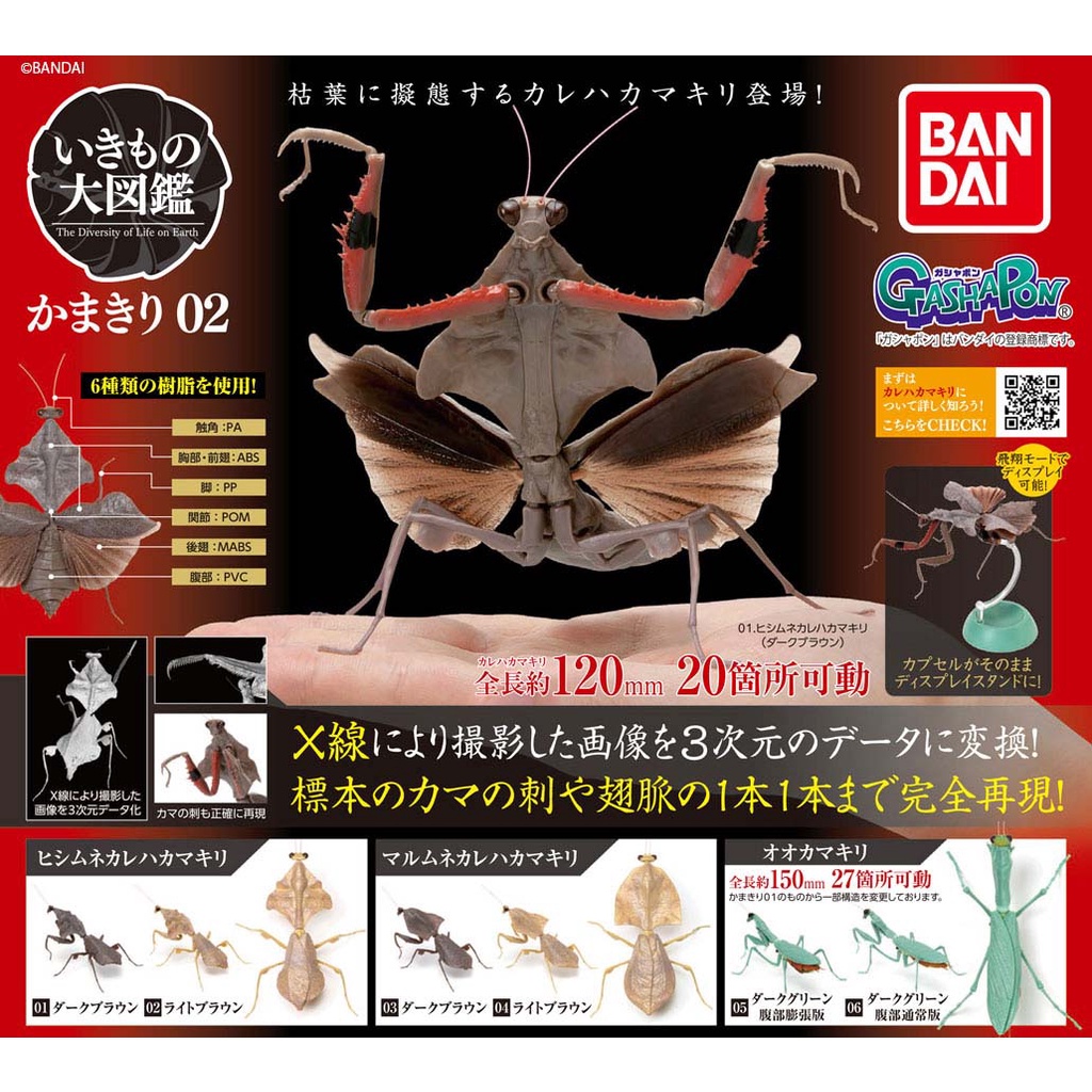 (เพิ่มครบชุดพร้อมส่ง) Gashapon กาชาปองตั๊กแตน Bandai Kamakiri Mantis ...