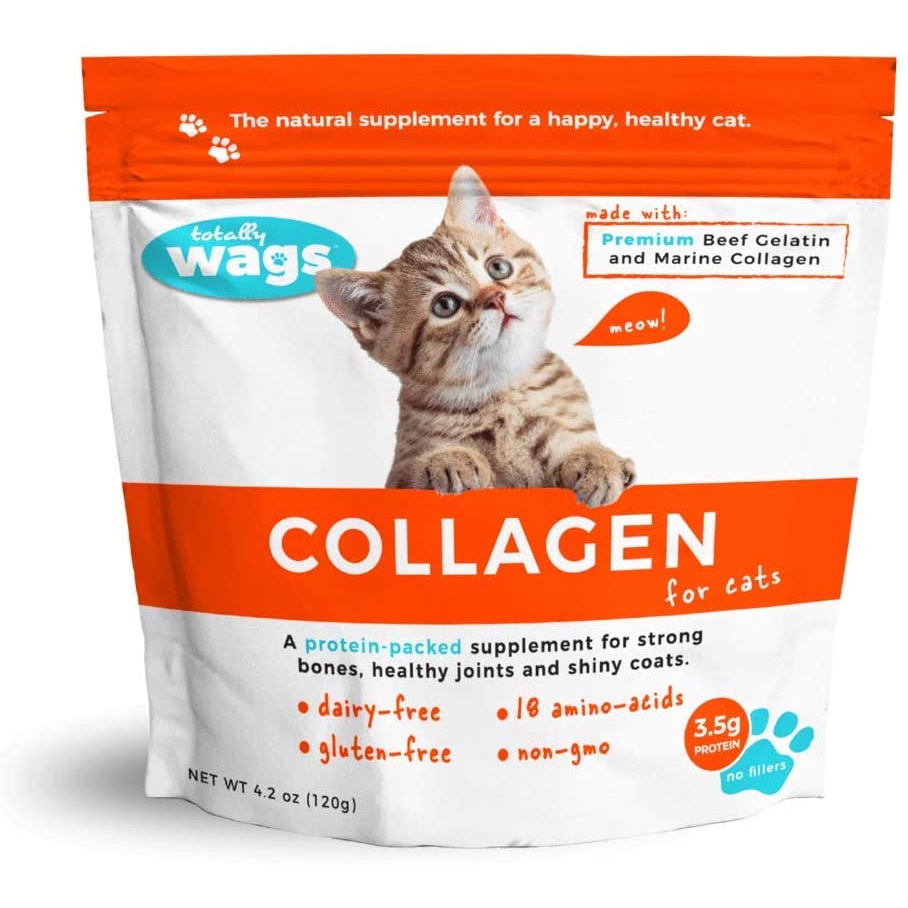 Collagen for CAT คอลลาเจน สำหรับแมว ผสมทำบาร์ฟได้ บำรุงขนสวย เงางาม ...