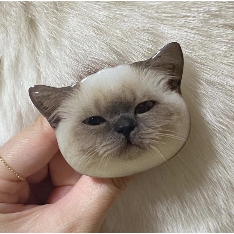 Griptok cat brownsugar_ddang from korea ที่ติดโทรศัพท์ | Shopee Thailand