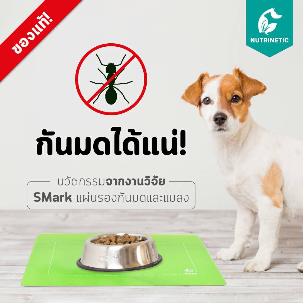 แผ่นกันมด กันแมลงขึ้นอาหาร ของแท้ Anti Ant Pad ผลิตภัณฑ์นวัตกรรมจากงาน ...