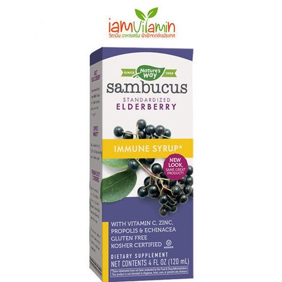 Nature's Way Sambucus Immune Syrup with Elderberry Echinacea & Propolis ...