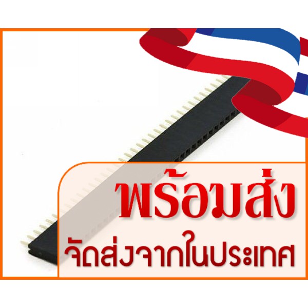 ก้างปลา ตัวเมีย 40 PIN 2.54mm Square Single Row Female Pin Header ...