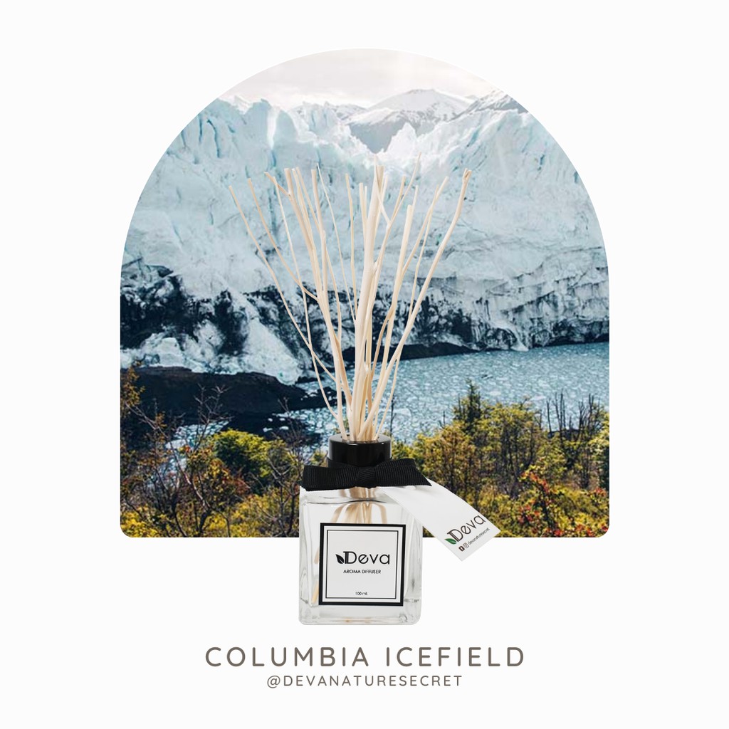 🔥พร้อมส่ง🔥 ก้านไม้หอม Deva Aroma Diffuser แบรนด์แท้ 100ml. ก้านดอก ...