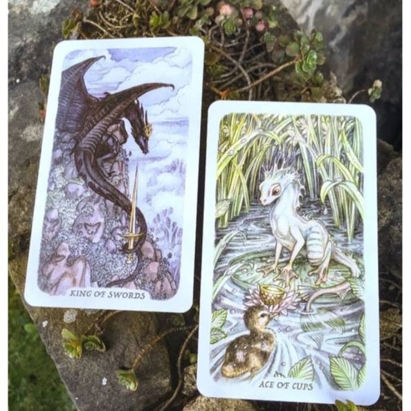 ไพ่ทาโรต์ ไพ่ยิปซี ไพ่ออราเคิล แท้ TAROT ORACLE CARDS : SMOKE, ASH ...