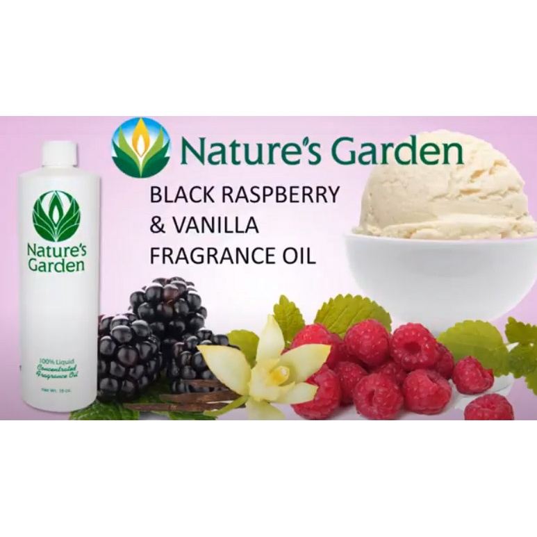 [16 Oz.] BLACK RASPBERRY & VANILLA FRAGRANCE OIL | Shopee Thailand
