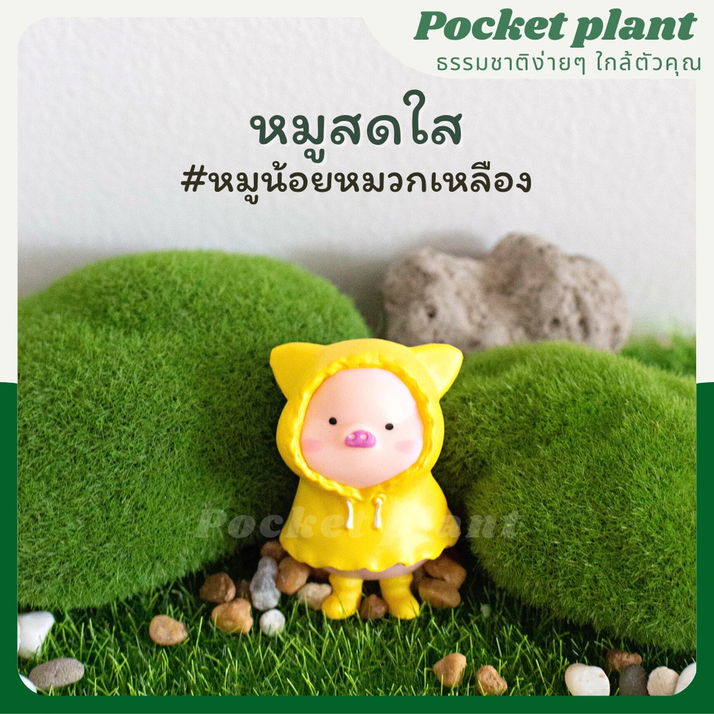 หมูสดใส ตุ๊กตาแต่งสวนจิ๋ว จัดสวนถาด โมเดลบ้านจิ๋ว [DolA-M-007] | Shopee ...