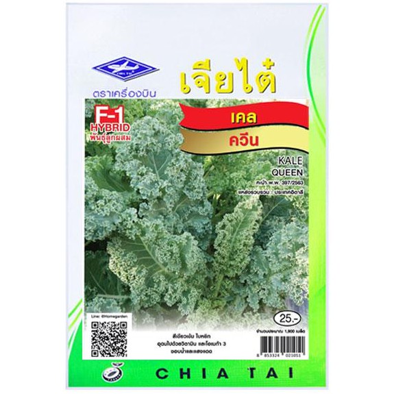เมล็ดพันธุ์ผัก Kale ผักเคล เมล็ดเคล ควีน KALE QUEEN คะน้าใบหงิก คะน้า ...