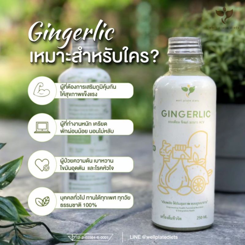 GINGERLIC น้ำสกัด กระเทียม ขิง มะนาว น้ำแอปเปิ้ลไซเดอร์ | Shopee Thailand