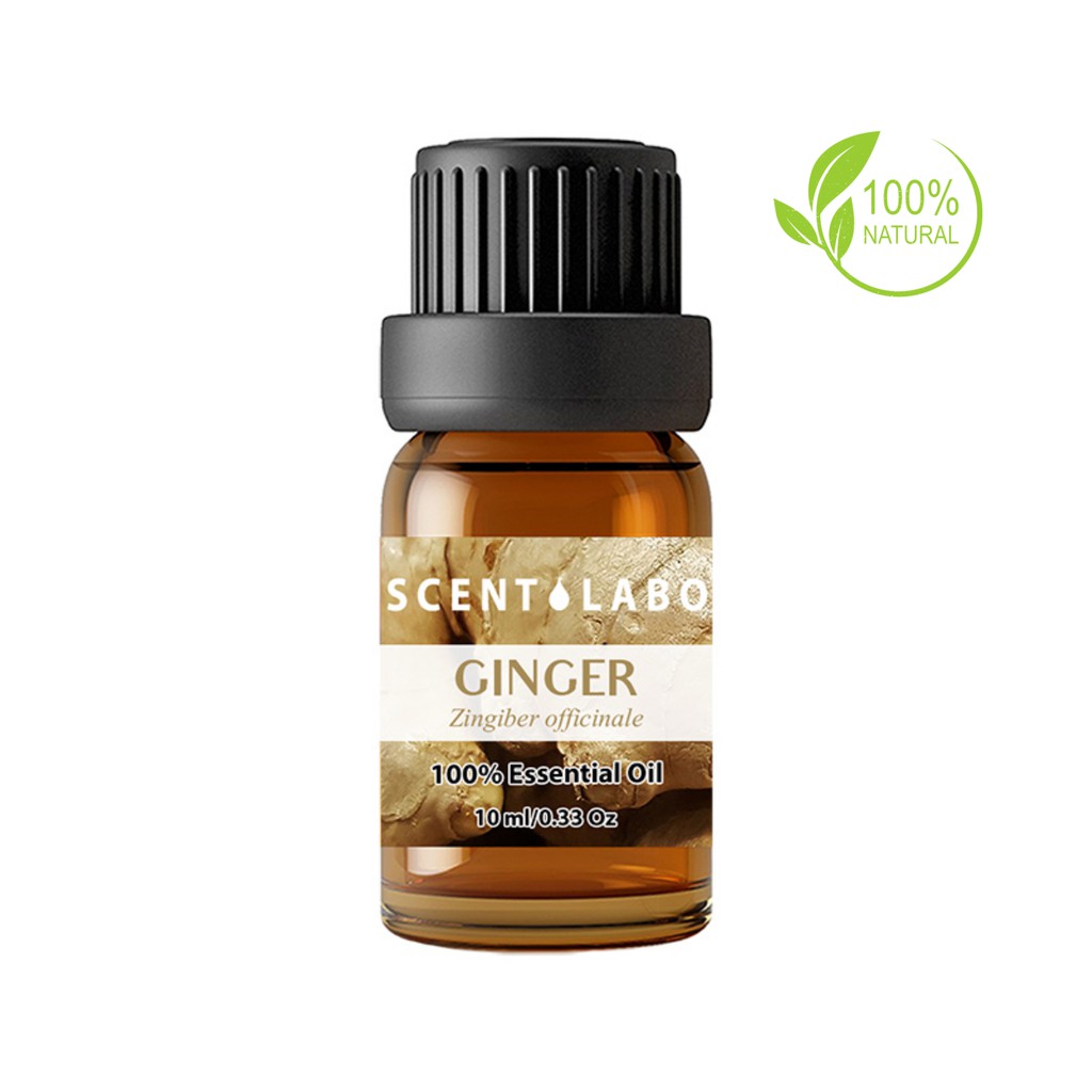 Scent Labo Ginger Essential Oil 100% น้ำมันหอมระเหยขิง 10 มล | Shopee Thailand