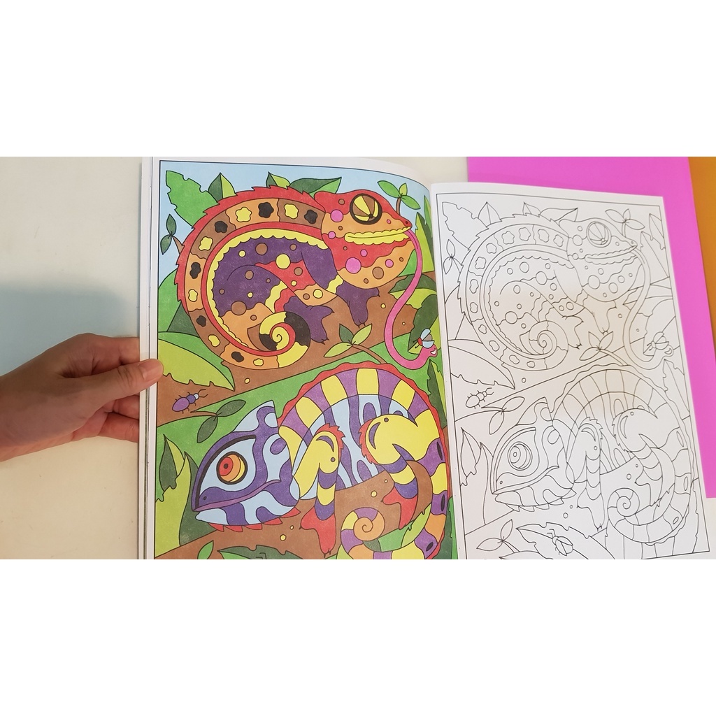 Amazing copycat coloring หนังสือฝึกสมาธิ ระบายสี *textbook มือสอง ...