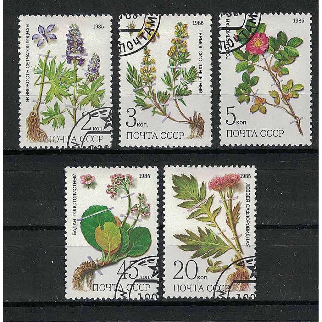 W78 แสตมป์สหภาพโซเวียตใช้แล้ว (CTO) ชุด Plants of Siberia ดอกไม้ ปี ...