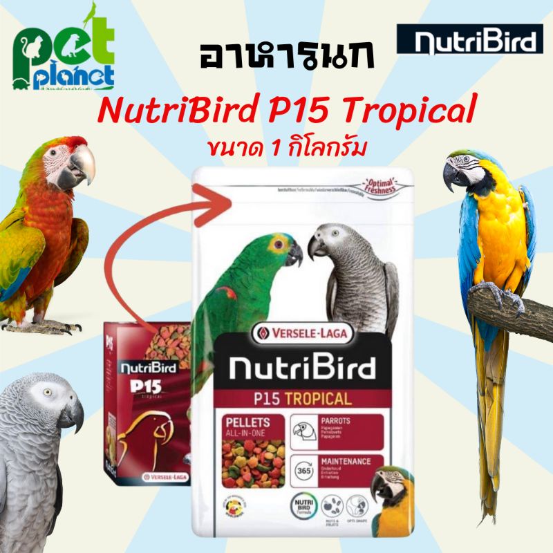 [1kg.] อาหารนก Versele Laga Nutribird P15 อาหารสำหรับ นกแก้ว แอฟริกันเ ...