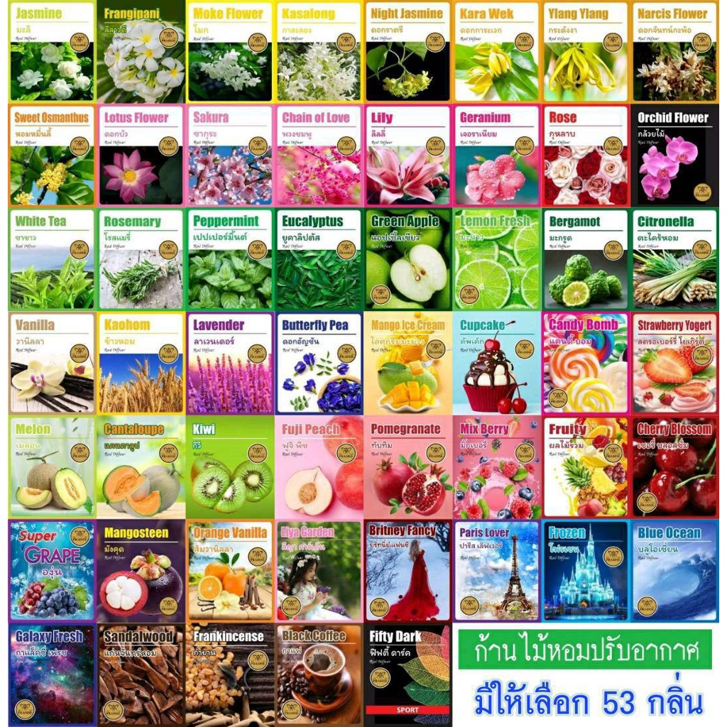 ซื้อ 5 ฟรี 1 Vol.1 [Paradise] ก้านไม้หอมปรับอากาศ Reed Diffuser ขนาด 15ml | Shopee Thailand