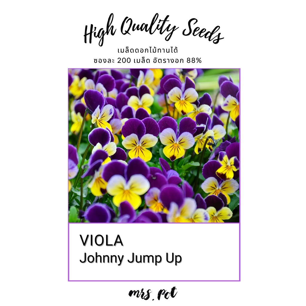 เมล็ดดอกไม้กินได้ วิโอล่า (Viola) Johnny Jump Up บรรจุ 200 เมล็ด ...