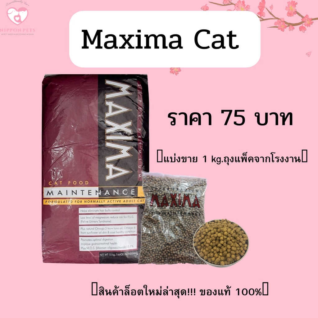 อาหารแมว Maxima Cat Maintenance 1 kg. สำหรับแมวทุกสายพันธุ์ | Shopee ...
