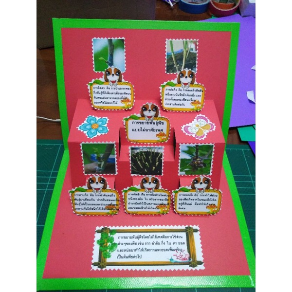 สื่อการสอนวิชาการงานอาชีพประเภท Pop Up | Shopee Thailand