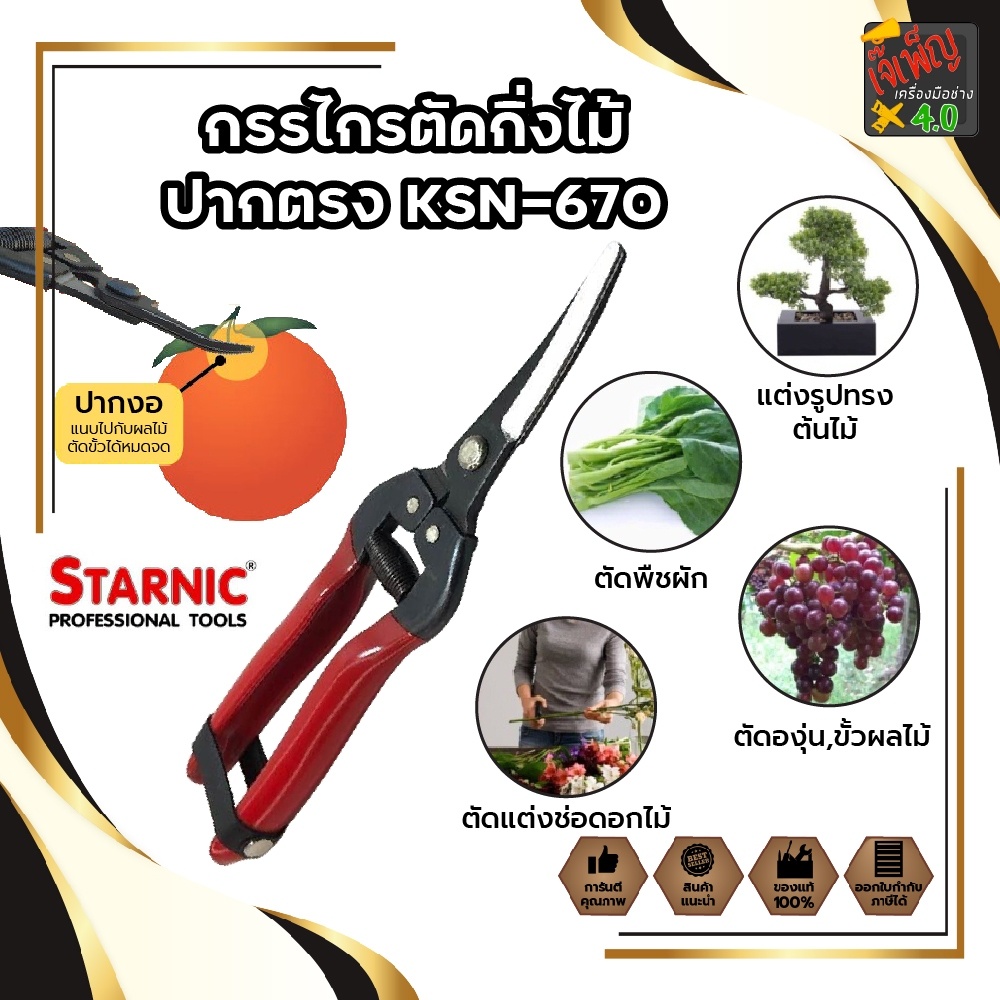 STARNIC กรรไกรตัดกิ่งไม้ ปากตรง KSN-670 ของญี่ปุ่น ตัดเล็ม กล้วยไม้ ดอก บอนไซ แหลม ปลายยก (JK ...
