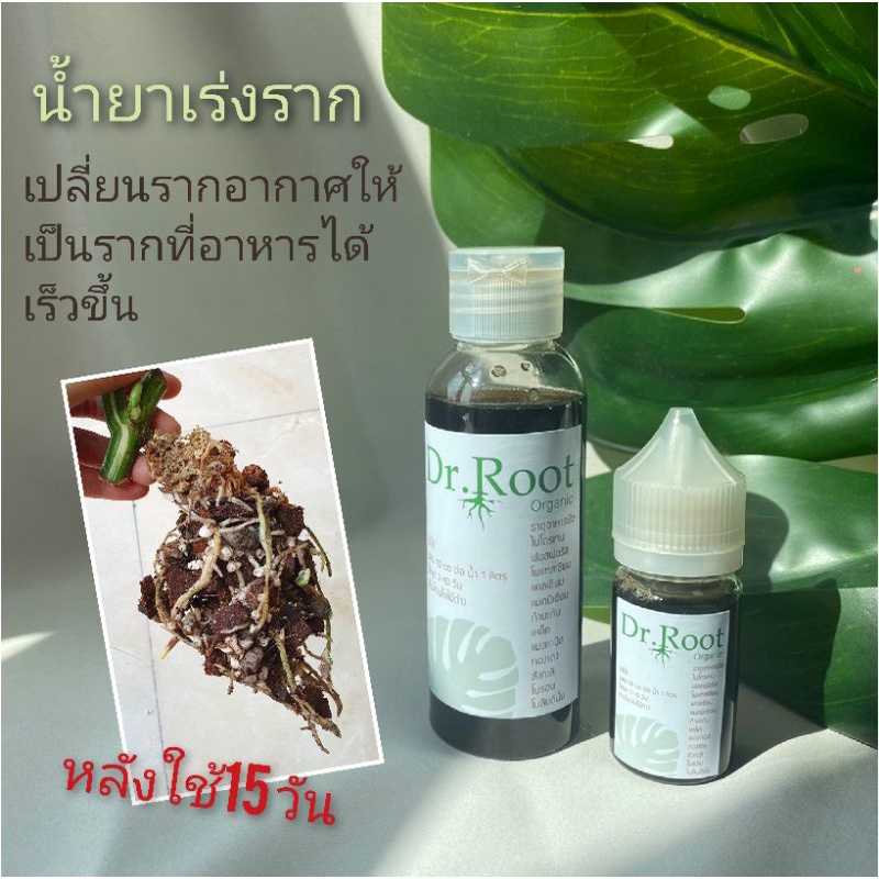 น้ำยาเร่งราก Dr.root ยาเร่งรากที่ได้ผลดี เห็นผลเร็ว สารอาหารครบแตกตา ...