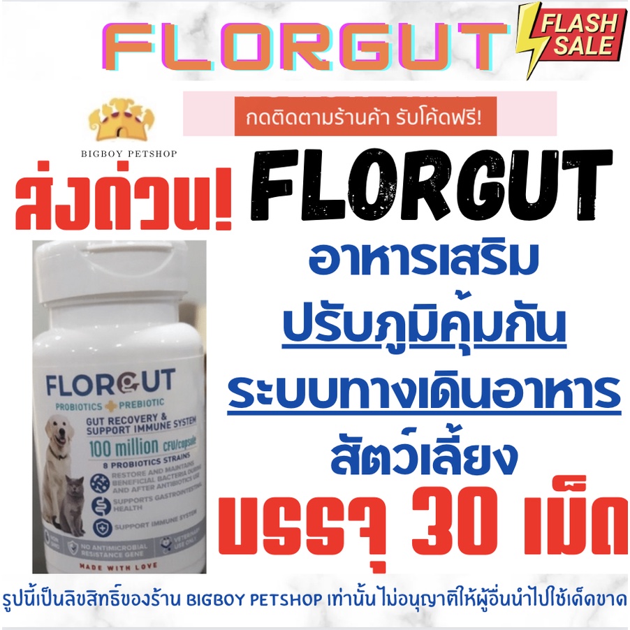 ถูกที่สุด!!🔥Florgut อาหารเสริม Probiotic&Prebiotic สำหรับสุนัขและแมว ...