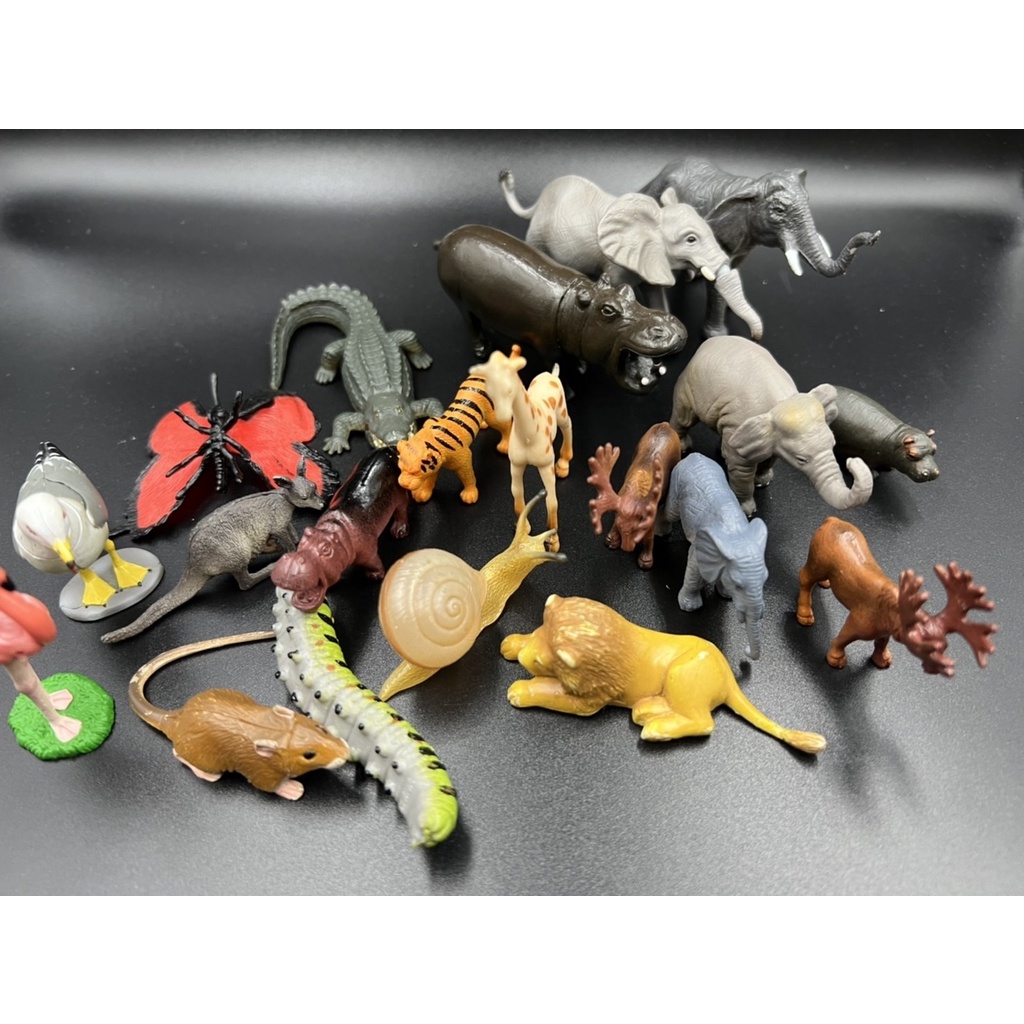 MODEL FIGURE Bandai โมเดลของเเท้สัตว์ของเเท้Animal จากญี่ปุ่น-02 ...