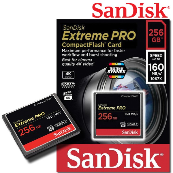 SanDisk Extreme Pro CF Card 256GB Speed160MB/140MB/s (SDCFXPS_256G_X46 ...