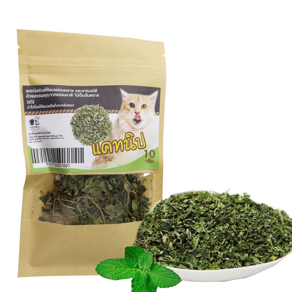 แคทนิปอบแห้ง 5 กรัม 10 กรัม | Shopee Thailand