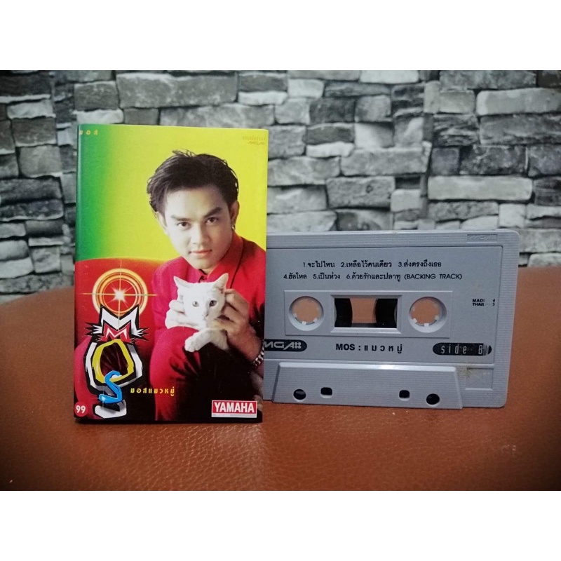 เทปคลาสเซ็ท ศิลปินเพลง ยุค80-90’s | Shopee Thailand