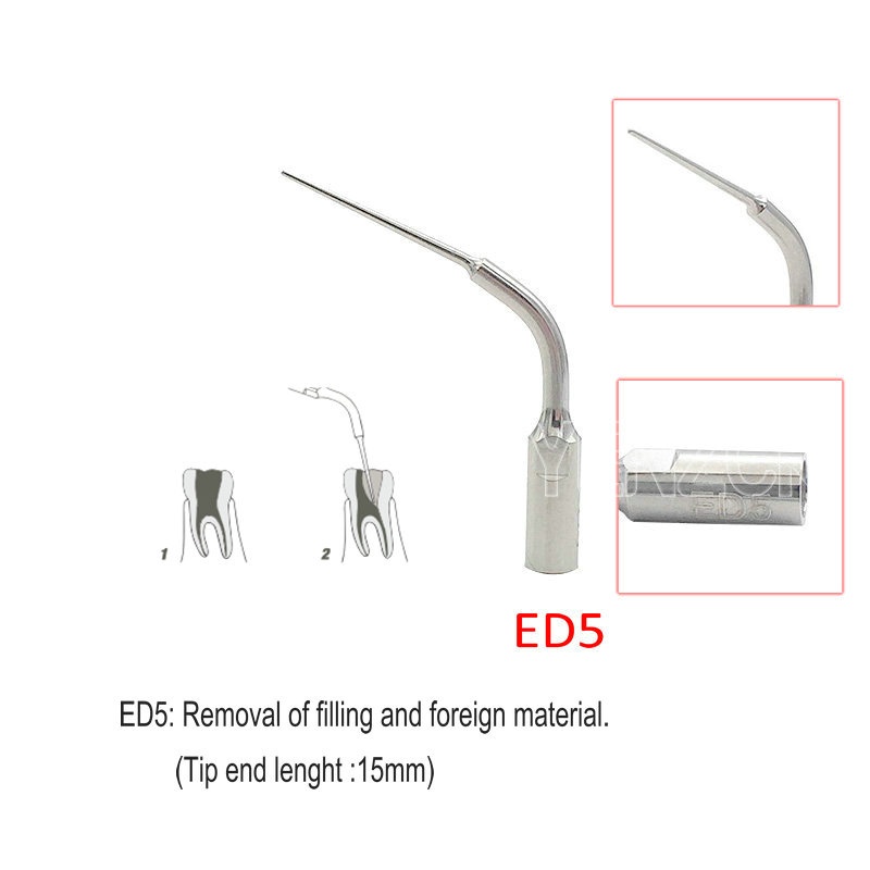 หัวเครื่องชั่งอัลตราโซนิก Endo Perio สําหรับ EMS Woodpecker DTE Satelec ...