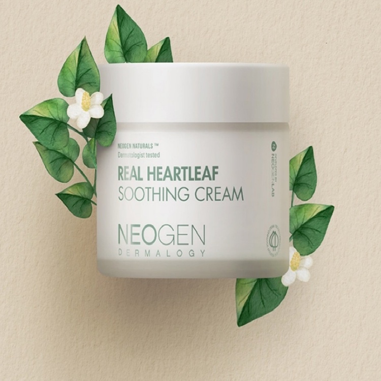 Neogen Real Heartleaf Soothing Cream 80g | Shopee Thailand