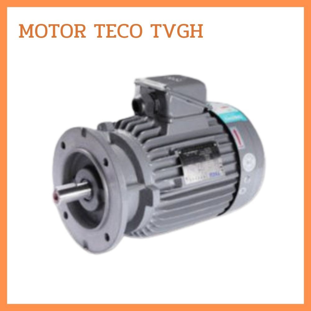Khusus Tiga Phase Motor AEVF TECO Standar Motor Induksi P P, 42% OFF