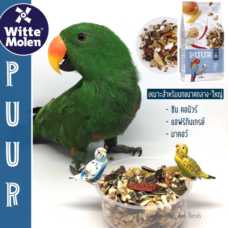 Puur parrot อาหารนกเกรดพรีเมียม ธัญพืชนกเกรดพรีเมียม สำหรับนกแก้วขนาด ...