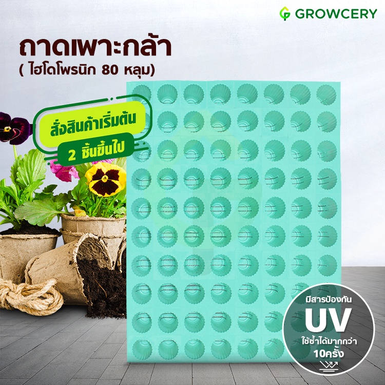 [G] ถาดเพาะกล้าไฮโดรโปนิกส์ ถาดเพาะชำ จำนวน 80 หลุม **สั่งขั้นต่ำ 2 ชิ้น** โดย GROWCERY | Shopee ...