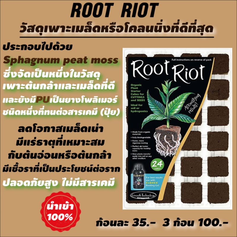 Root Riot วัสดุสำหรับการปักชำ และ การเพาะเมล็ด | Shopee Thailand