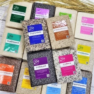 Glory Rice Thailand, ร้านค้าออนไลน์ | Shopee Thailand