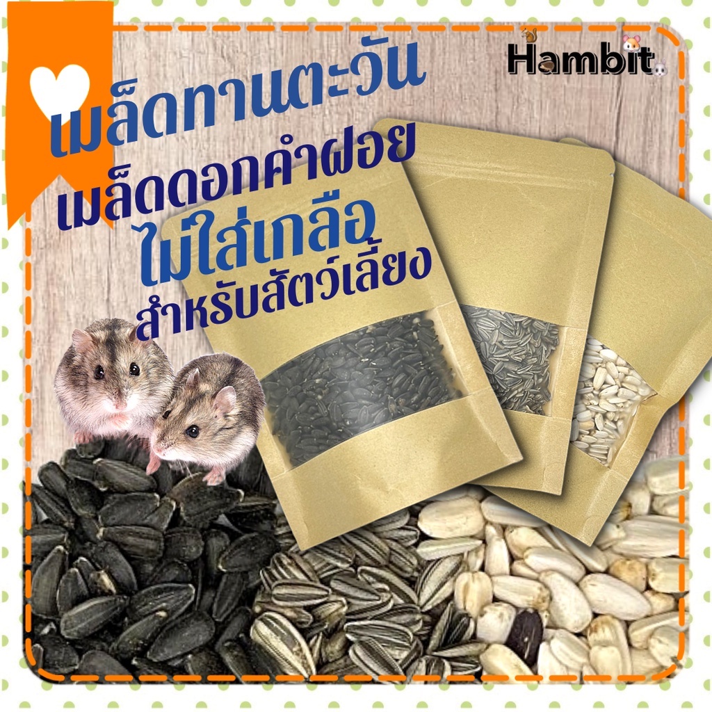 Hambit. เมล็ดทานตะวัน พวงมิลเลตไม่ใส่เกลือสำหรับสัตว์เลี้ยง เมล็ดดอก ...