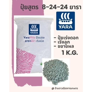 8-24-24 ราคาพิเศษ | ซื้อออนไลน์ที่ Shopee ส่งฟรี*ทั่วไทย!