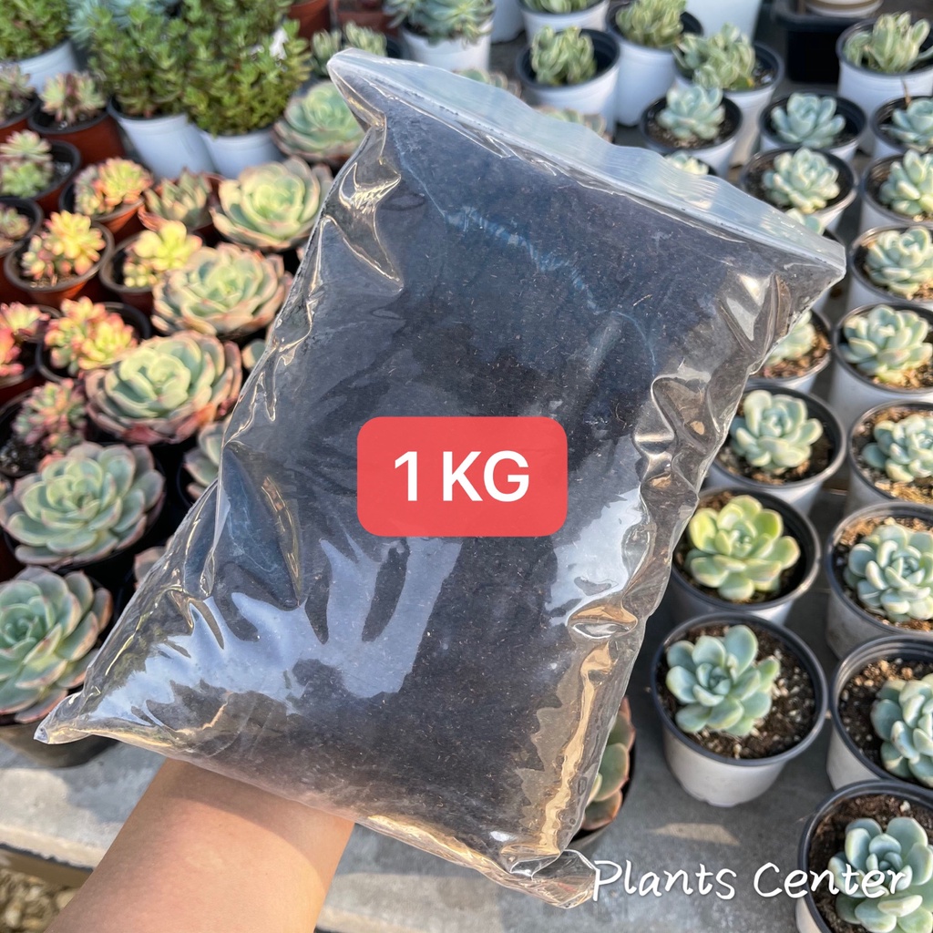 Plants Center พร้อมส่ง 2ลิตร (1กก.) พีทมอสสำหรับเพาะต้นกล้า Potgrond H ...