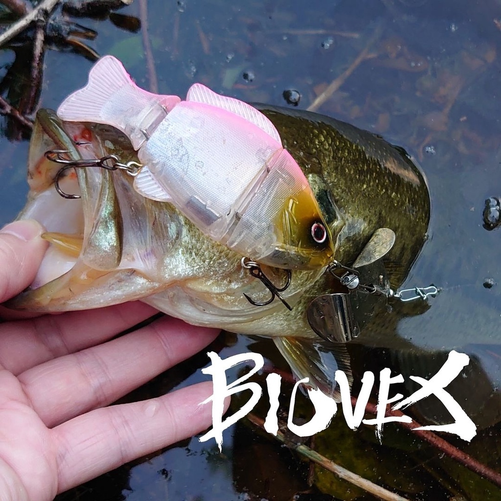Biovex Joint Gill 70SS เหยื่อตกปลา แบบแบน จมช้า | Shopee Thailand