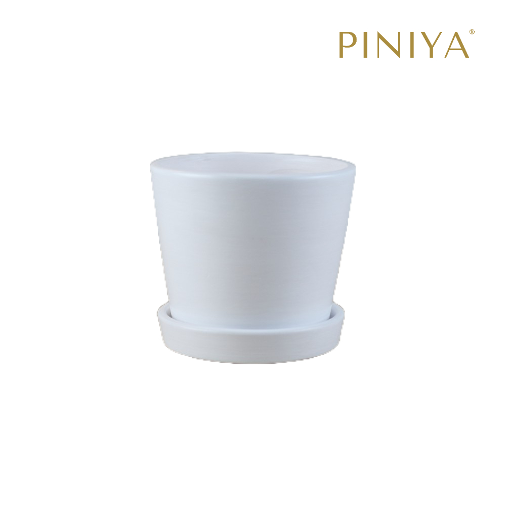 Piniya พินิยา - Chomphu ชมพู กระถางต้นไม้, ดินเผา, 12ซม., สีขาว, พร้อม ...