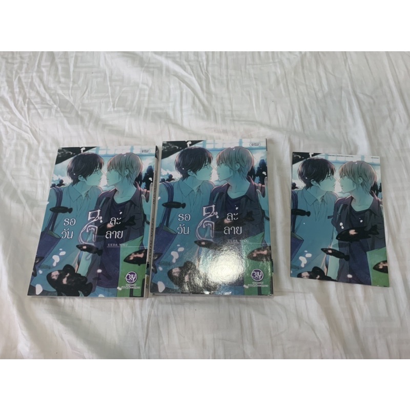 คัทลิขสิทธิ์ รอวันใจละลาย สภาพ90% การ์ตูนวาย มือสอง คัทวาย มังงะวาย Yaoi bly | Shopee Thailand