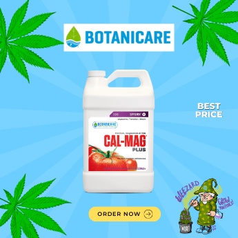 Botanicare CAL-MAG Plus ปุ๋ยเสริมแคลเซี่ยมแมคนีเซี่ยม #botanicare #420 #ปุ๋ยกัญชา #กัญชา ...