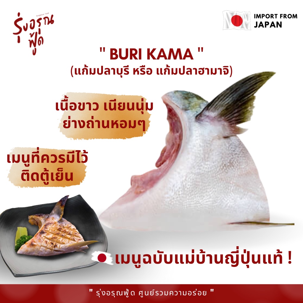 แก้มปลาบุรีย่างเกลือ แบบเดียวกับร้านอาหารญี่ปุ่น BURI-KAMA 140-170G/PC ...