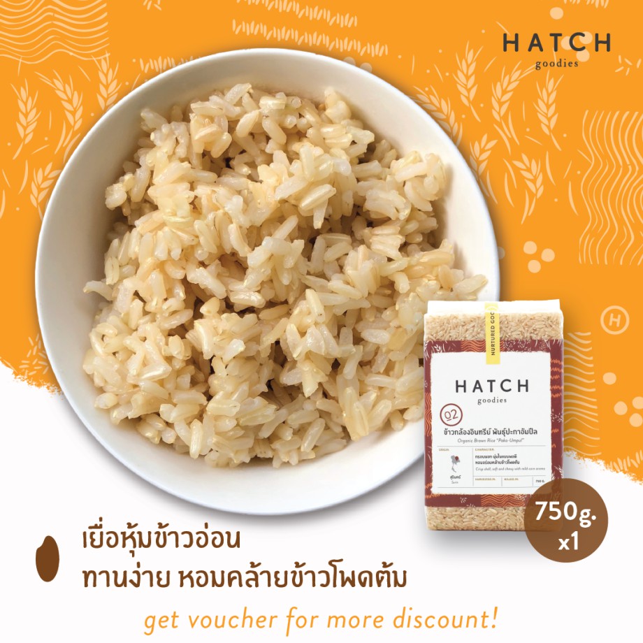HATCH goodies ข้าวกล้องออร์แกนิค พันธุ์ปะกาอำปึล Organic Brown Rice "Paka Umpul" - Refill Vacuum ...