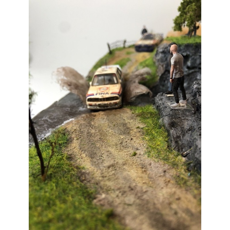 WRC rally diorama model | Shopee Thailand