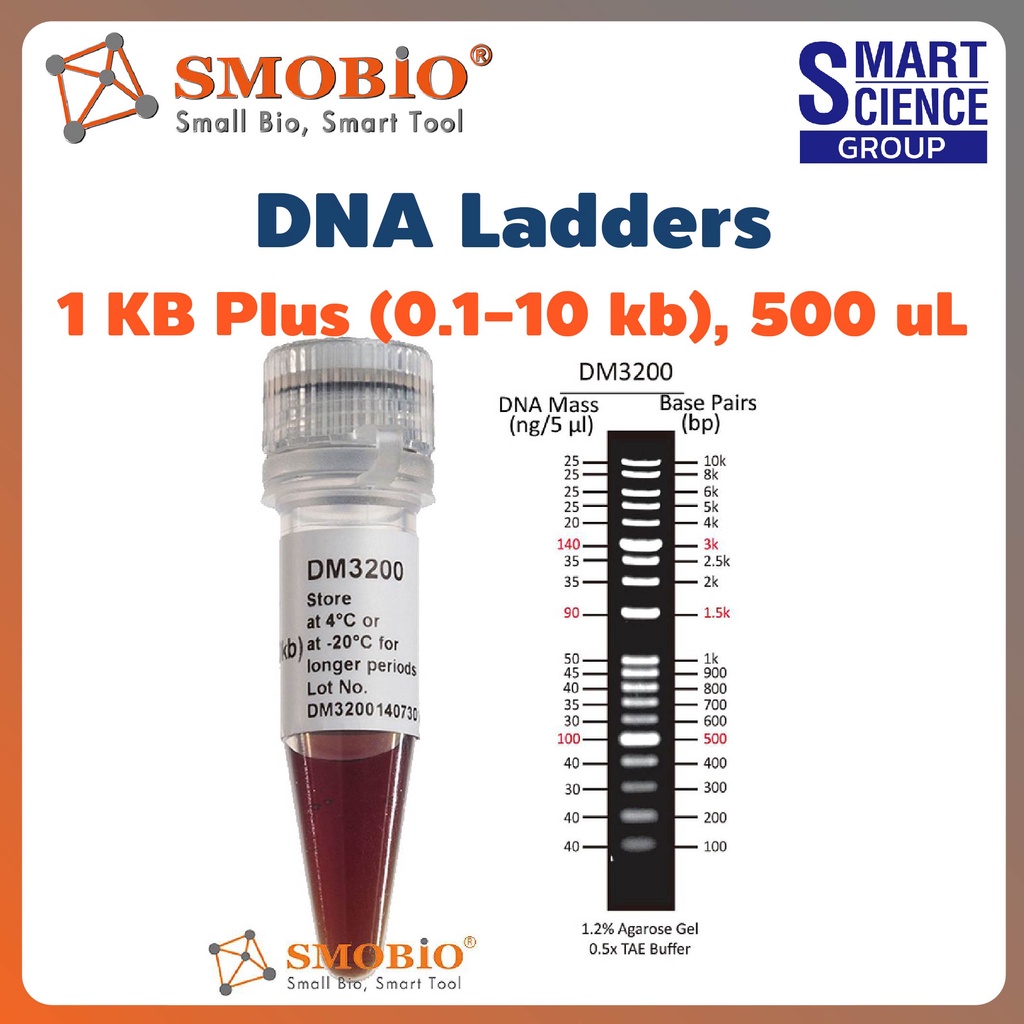 DM3200 ExcelBand DNA Ladder 1KB Plus (0.1-10 kb) 500 uL DNA Marker PCR gel electrophoresis ...
