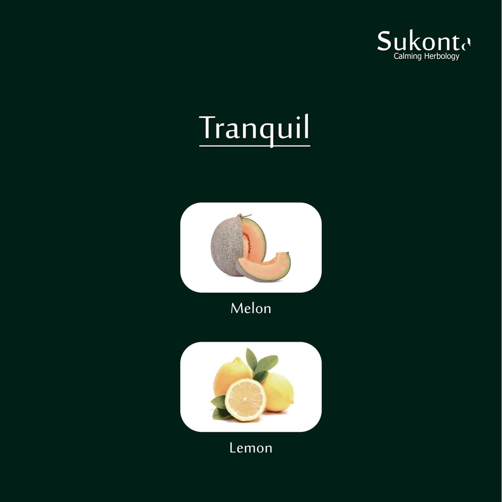 SUKONTA EARTH THERAPEUTIC REED DIFFUSER 200 ML ก้านไม้กระจายกลิ่น ...