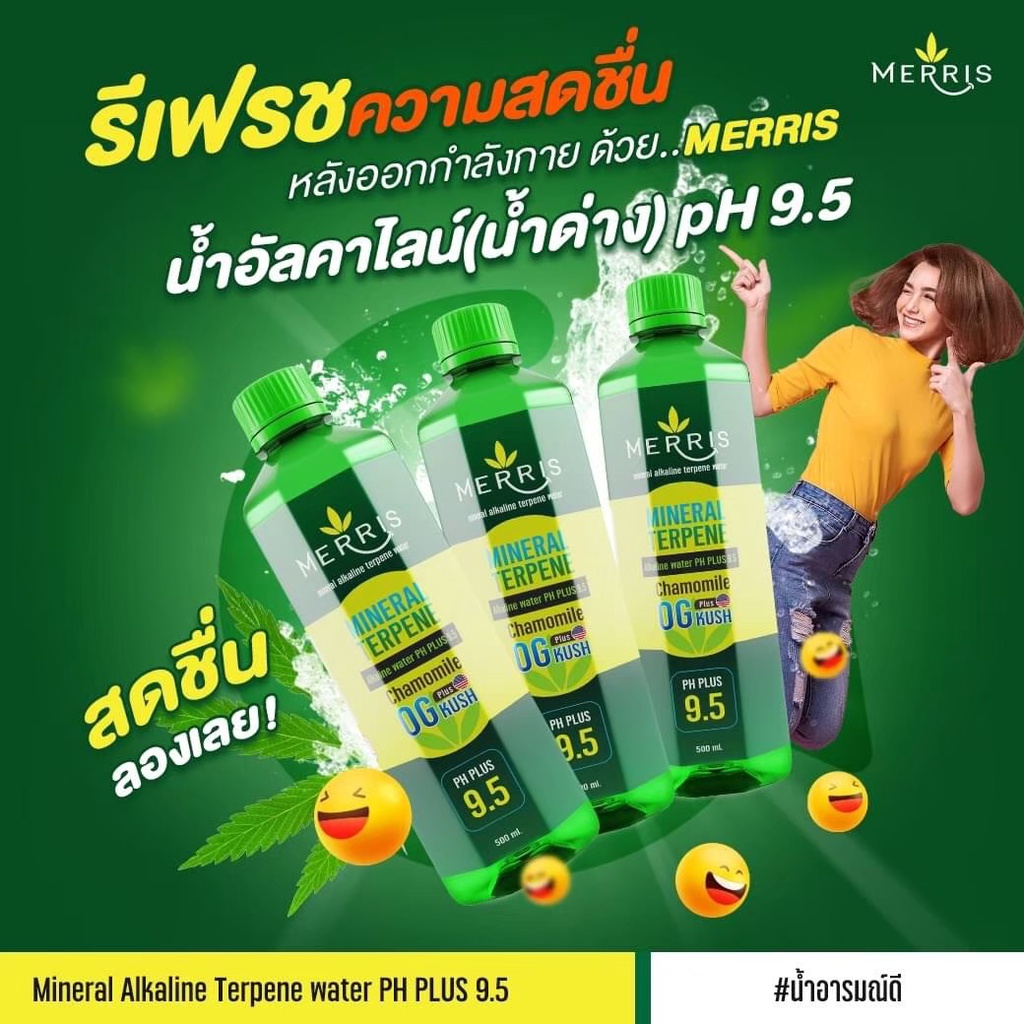 Merris เมอริส เครื่องดื่มน้ำอัลคาไลน์ Alkaline น้ำด่าง pH9.5 1ลัง มี 24 ...